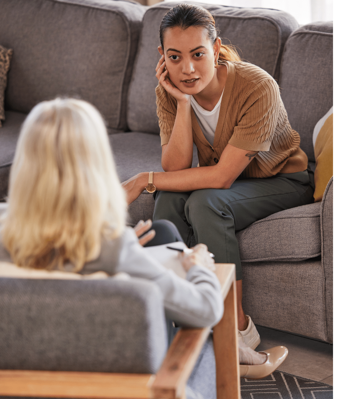 Family Guide | Supporting Family In Mental Health Recovery